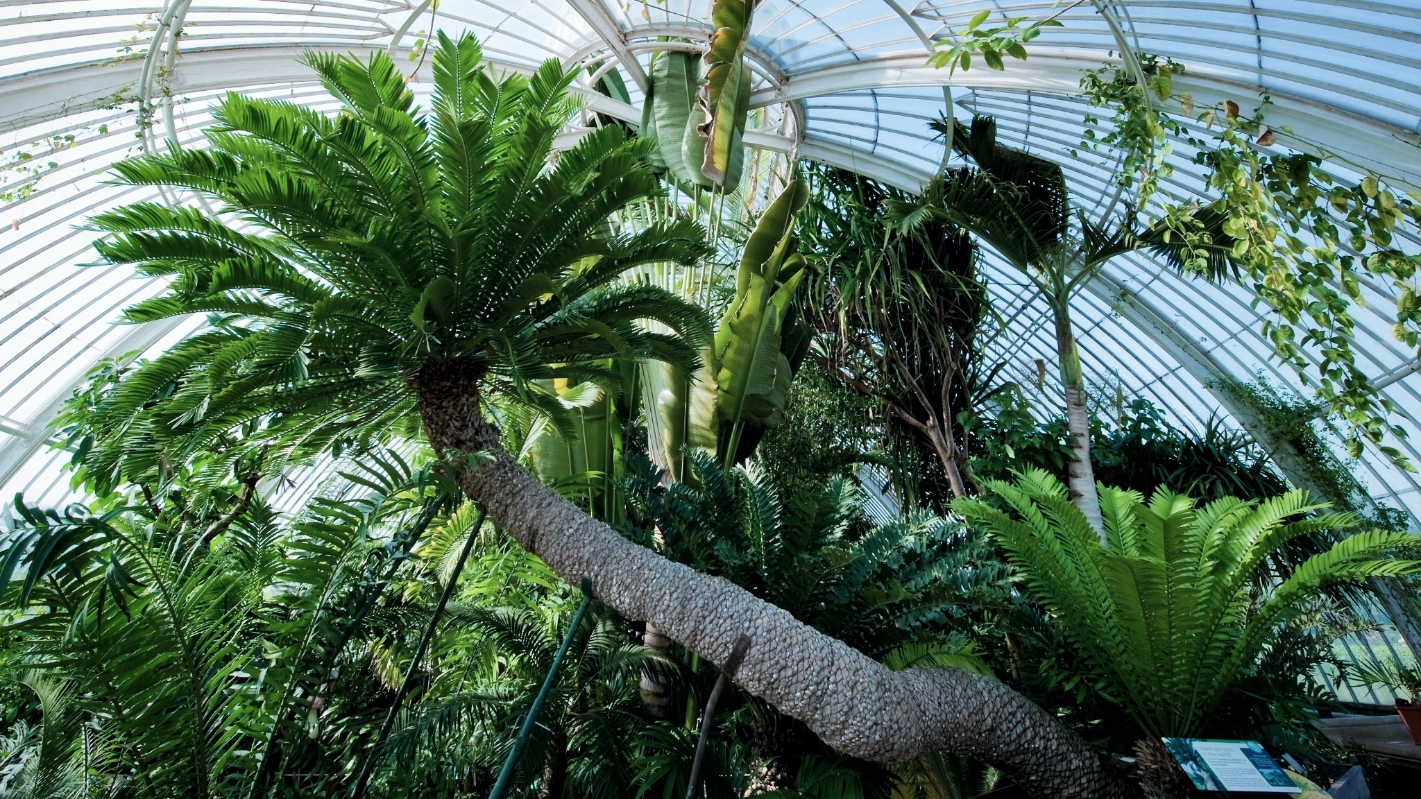 A Guide to the Royal Botanical Gardens at Kew – Love Bella Vida