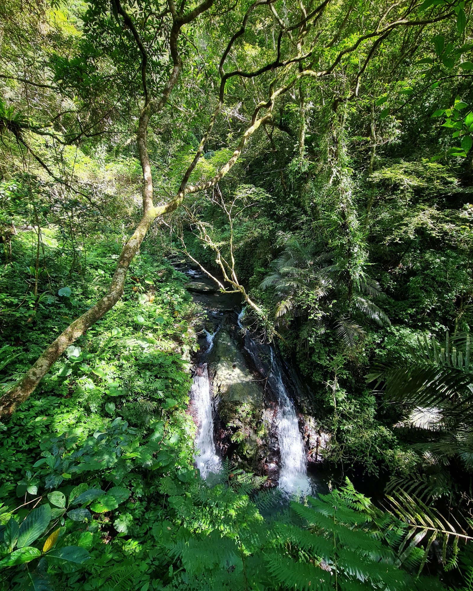 Wellspring by Silks: A Hot Spring Resort in Jioaxi Yilan – Love Bella Vida