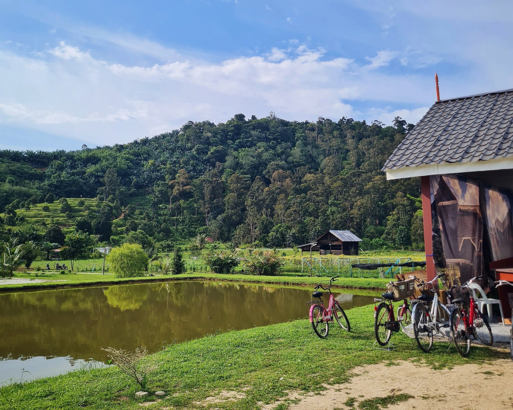 Farmstay Relau: An Authentic Malaysian Kampong Stay in Kedah – Love ...