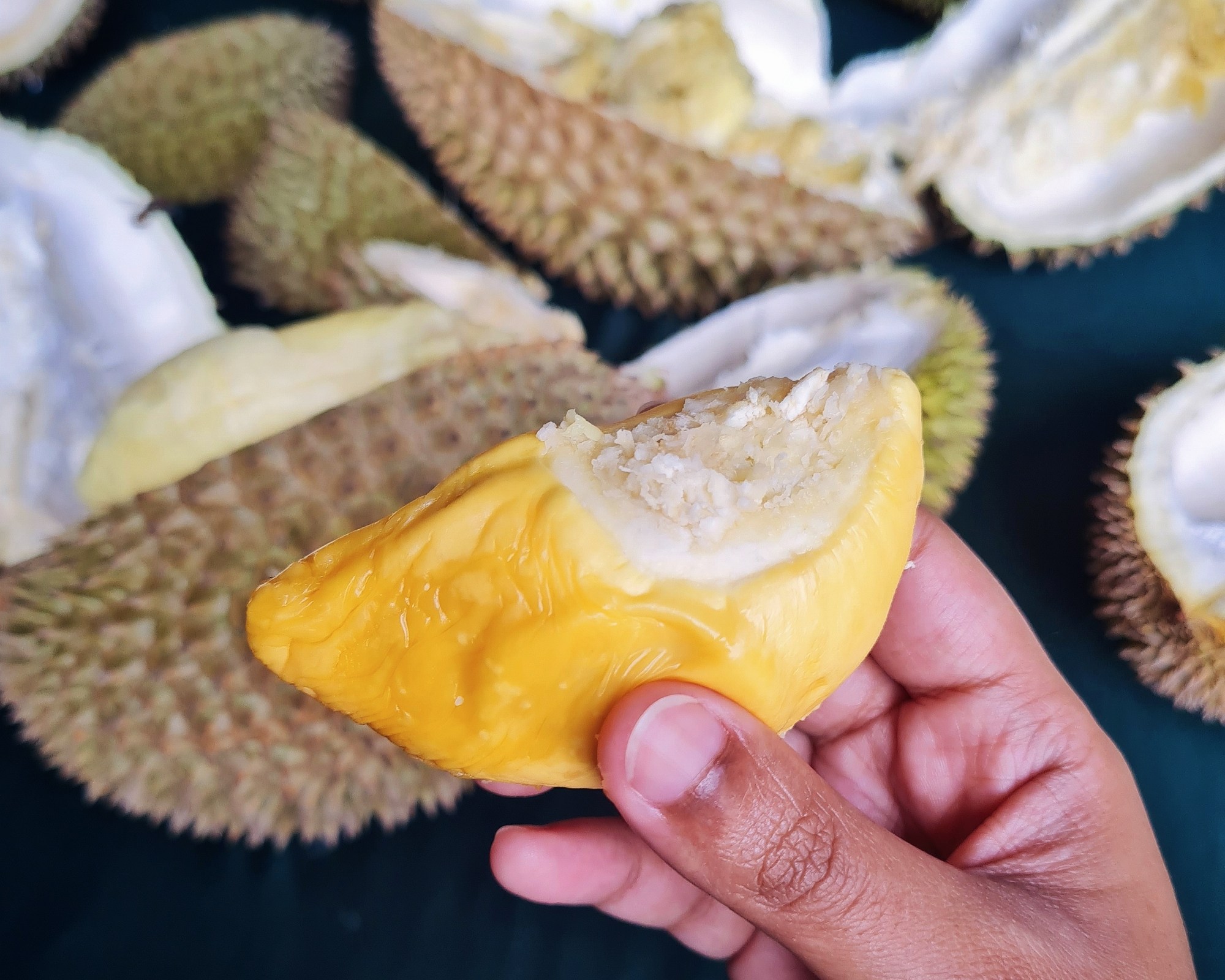 Farmstay Relau: An Authentic Malaysian Kampong Stay in Kedah – Love ...